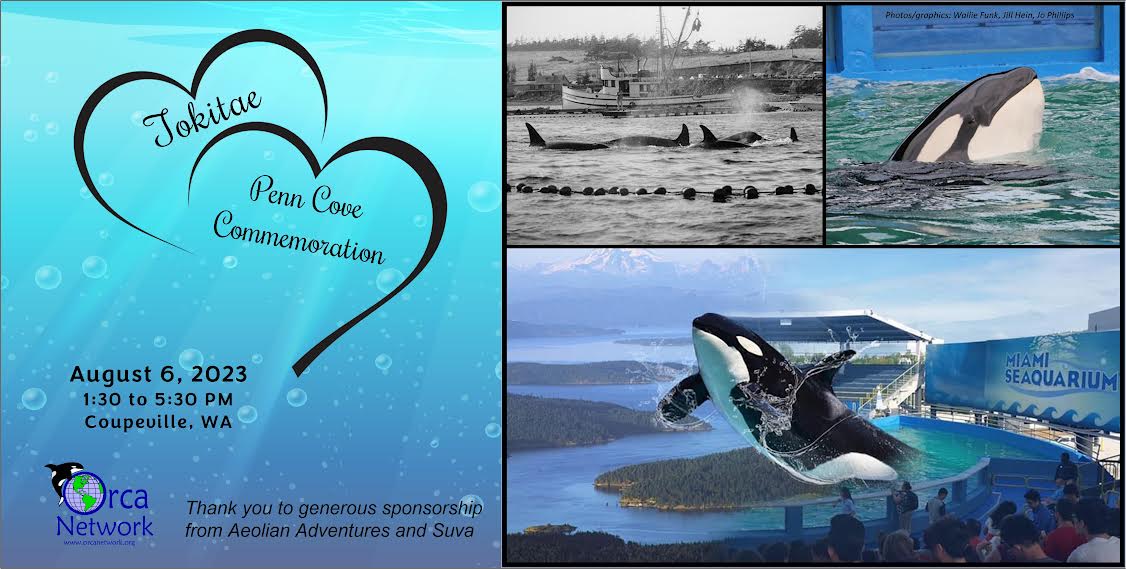 Penn Cove Orca Capture Commemoration August 6th, 2023 | Westside Seattle